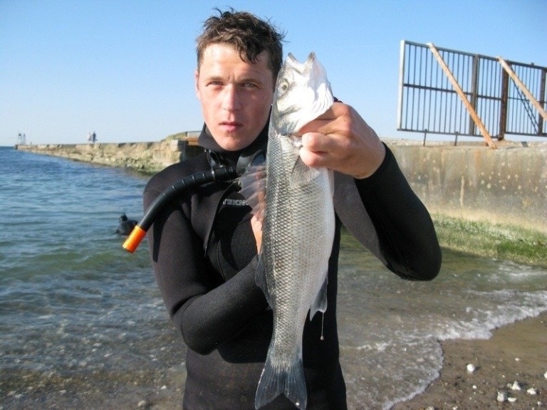 Harpun til undervandsjagt | Test af de bedste harpuner!